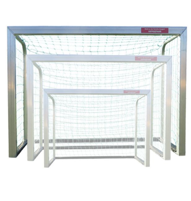 Diverse Helo Mini Tor 240 x160 cm mit PlayersProtect online